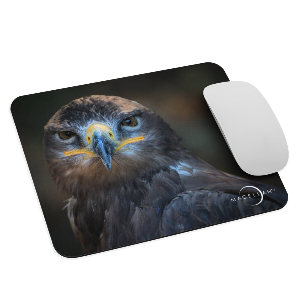 Eagle Mouse pad – MagellanTV Merch